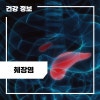 급성 췌장염 초기 증상 및 등 통증 양상 원인 치료 방법 만성 췌장염 네이버 블로그